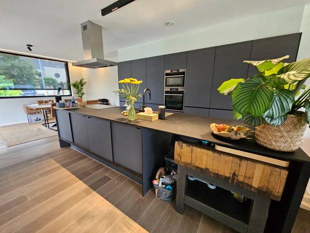 Immo te huur in Hoogstraten (+deelgemeenten) | Immoscoop