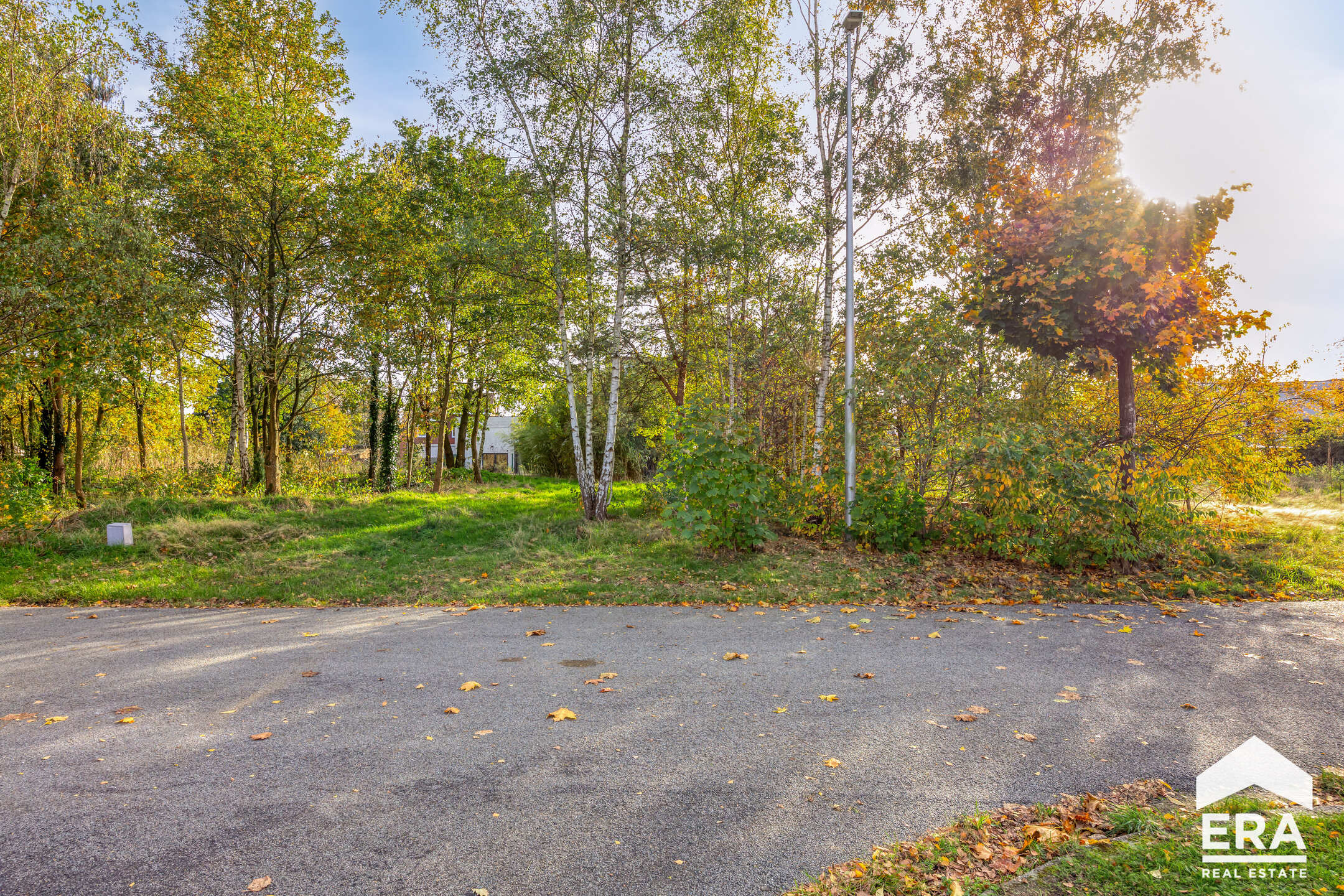 Terrain à vendre à Teugelstraat 3920 Lommel